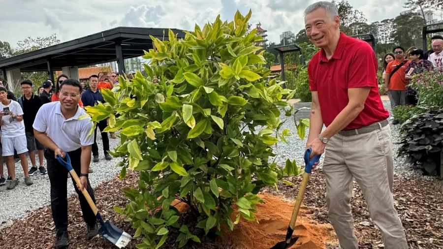 NParks completes redevelopment of Jurong Lake Gardens | Singapore ...