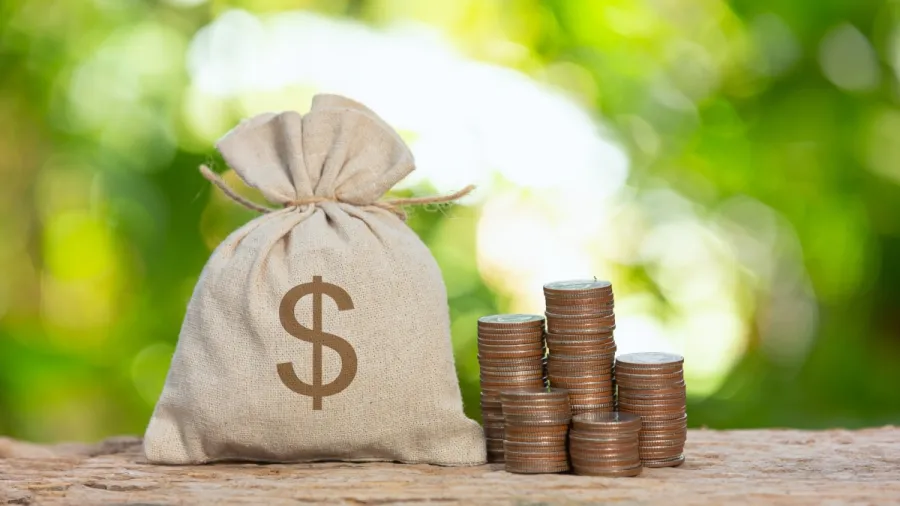 Temasek Holdings joins $2b investment in Veeam Software | Singapore ...