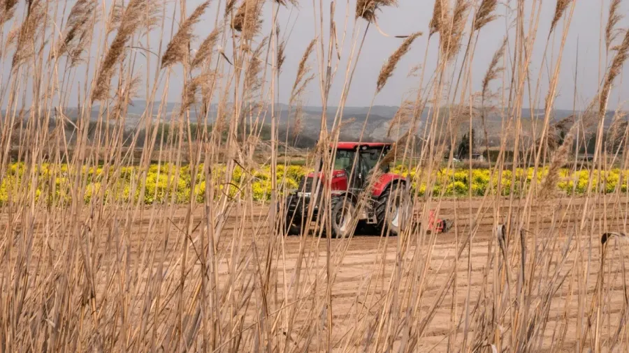 Olam Group announces updated reorganisation plan | Singapore Business ...