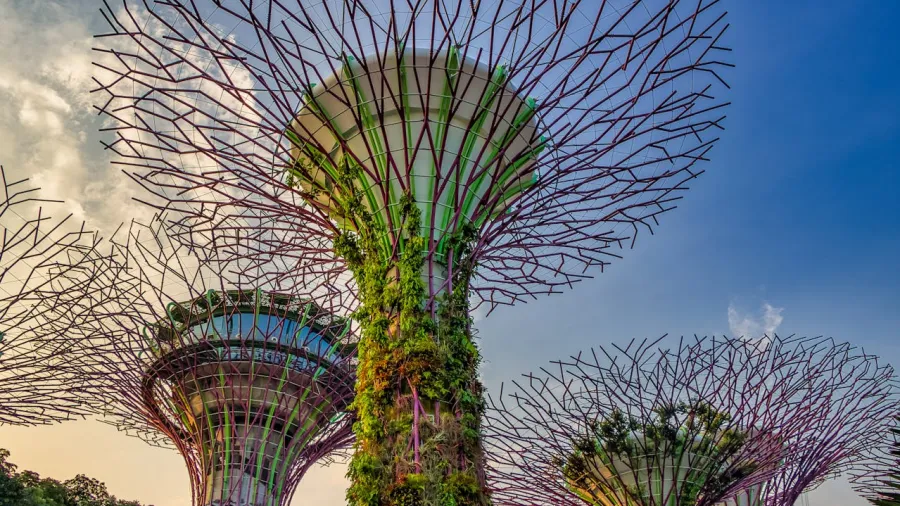 SG60: Singapore launches new state-funded traineeship programme ...