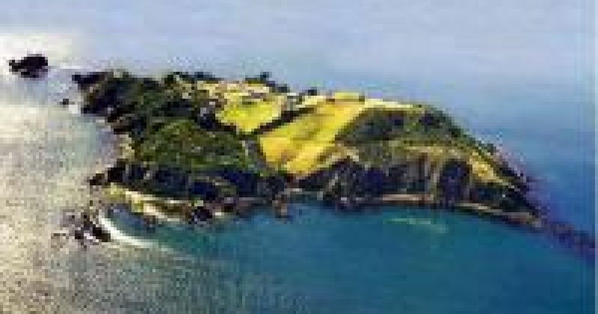 Matiu Island to install renewable energy system | Asian Power