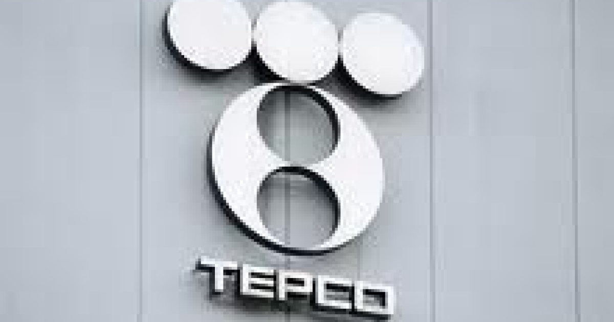 Japan's TEPCO withdraws from Vietnam nuclear project | Asian Power