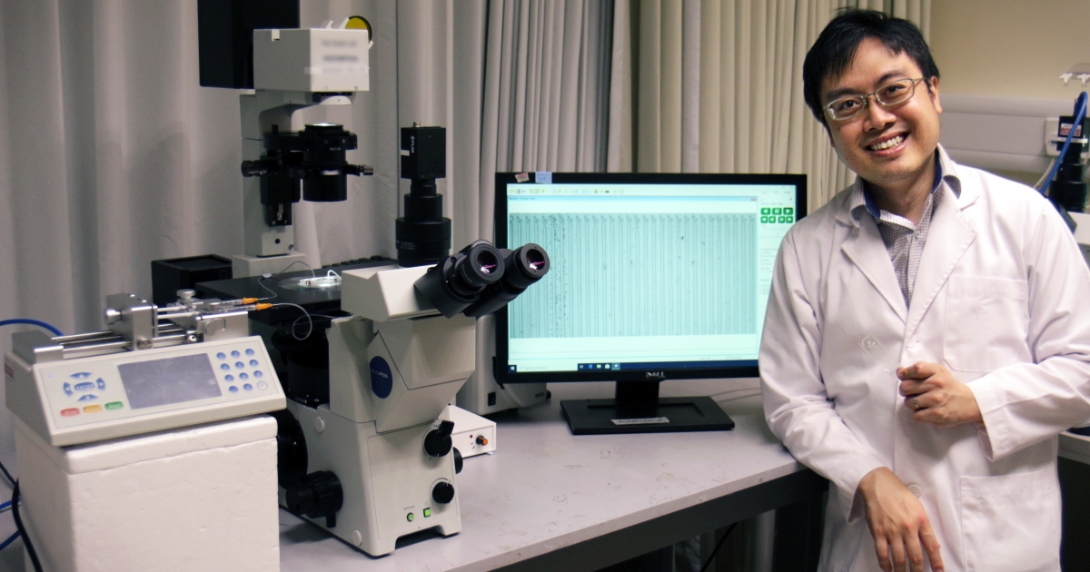 SMART researchers develop label-free immune profiling assay | Singapore ... SMART researchers develop label-free immune profiling assay | Singapore ...