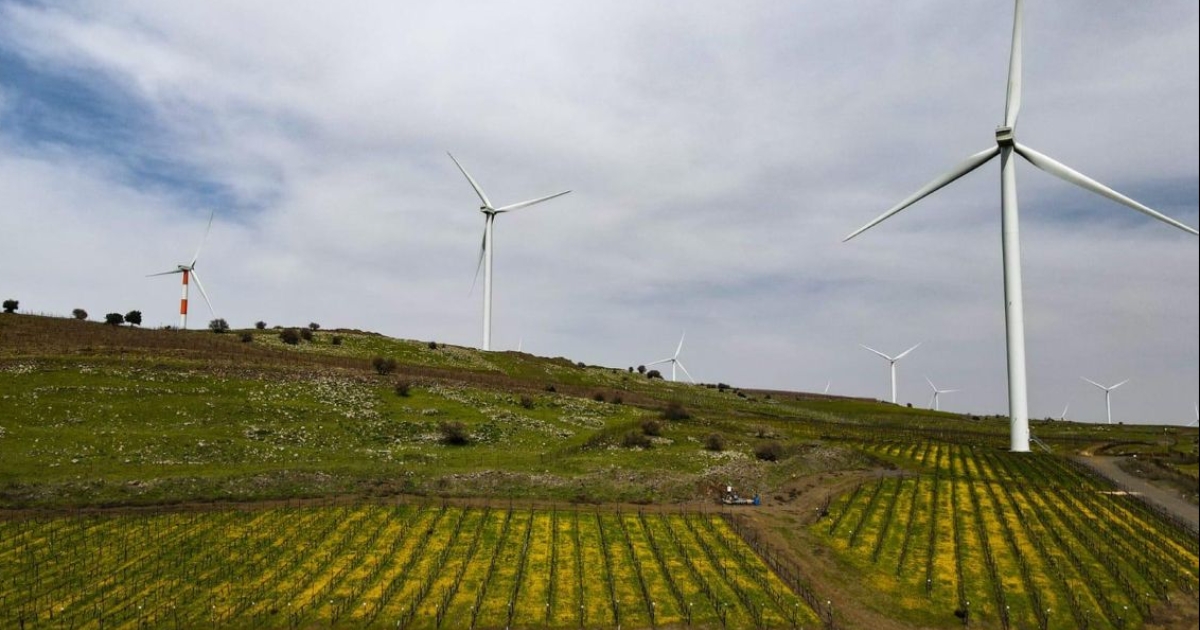Enlight wind farm starts operations | Asian Power