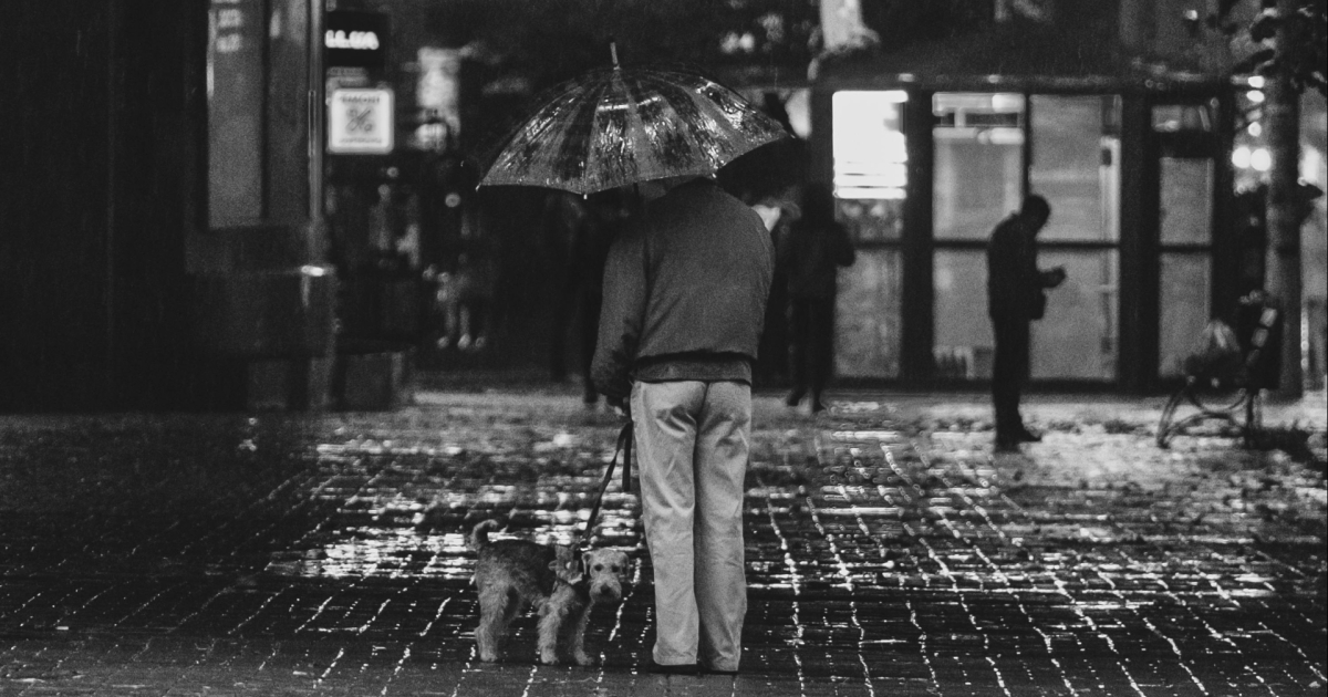 Nissay positioned for stability with strong capital and operating ...