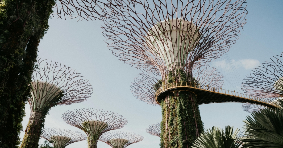 KKH unveils Children’s Lipid Centre for familial hypercholesterolemia ...