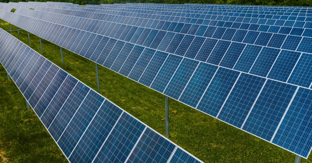 SP Group deploys 240 MWp agrivoltaic project in China | Singapore ...