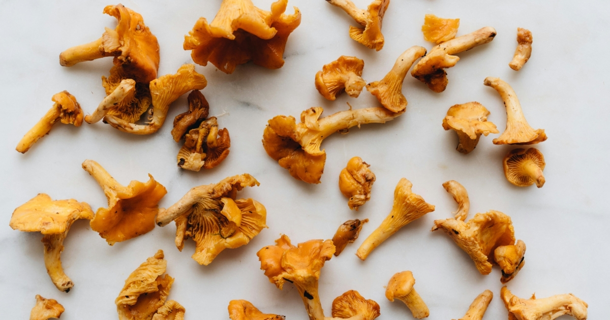 Fungi-based foods surge in Australia amidst sustainability demand ...