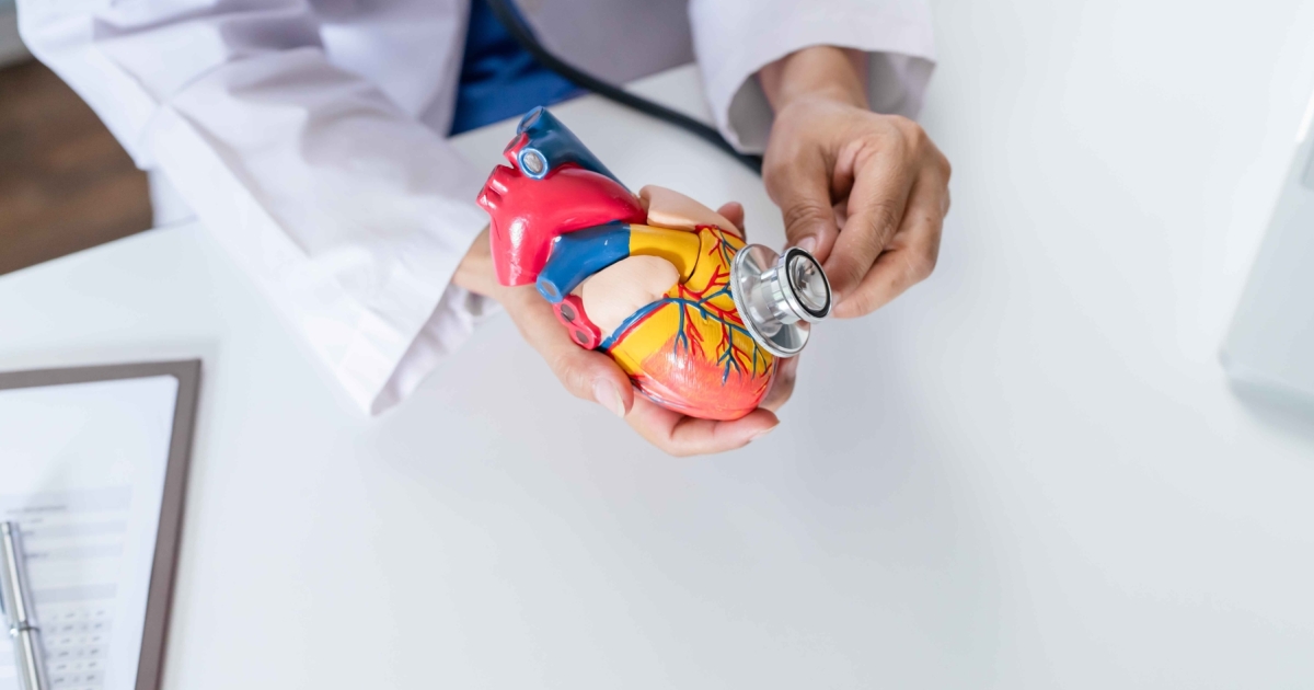 China’s mechanical heart valves market to reach $50m in 2033 ...