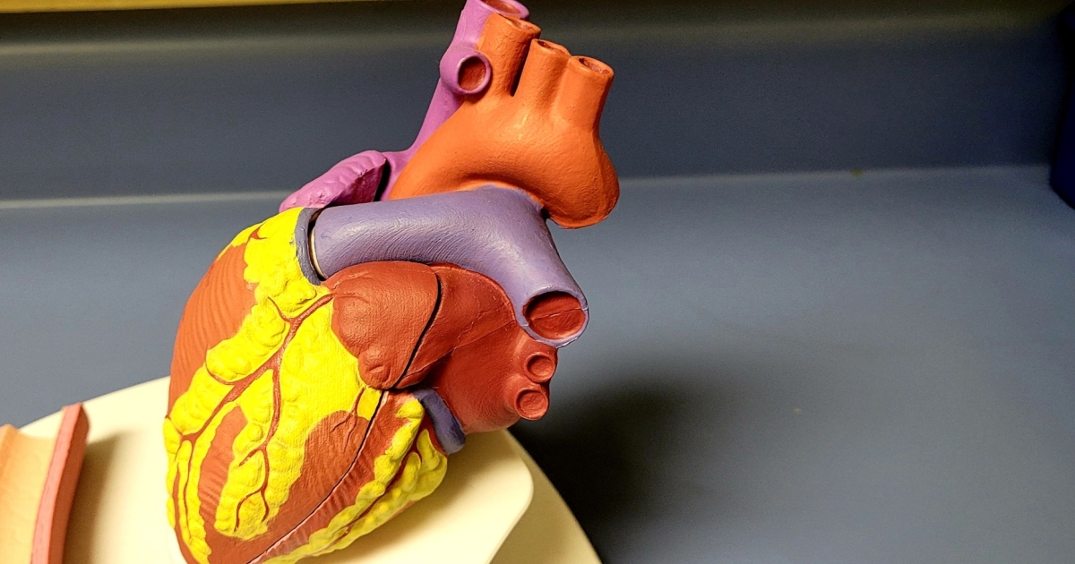 NHCS performs ‘first-in-Singapore’ procedure for heart failure patients ...