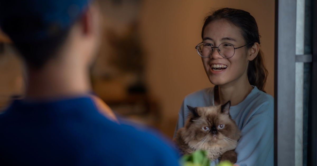 MSIG Singapore unveils pet insurance with up to $15k coverage ...