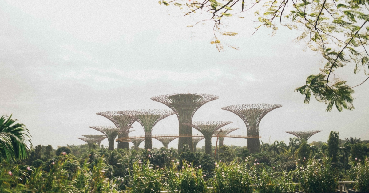 EDP installs solar panels at Gardens by the Bay | Asian Power