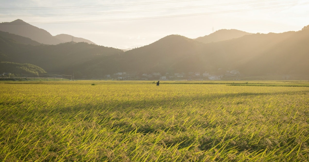 Norinchukin logs $540m profit in H1 FY2025 | Asian Banking & Finance