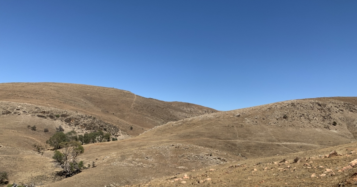 Tilt Renewables greenlights 288 MW Palmer Wind Farm for 2026 ...