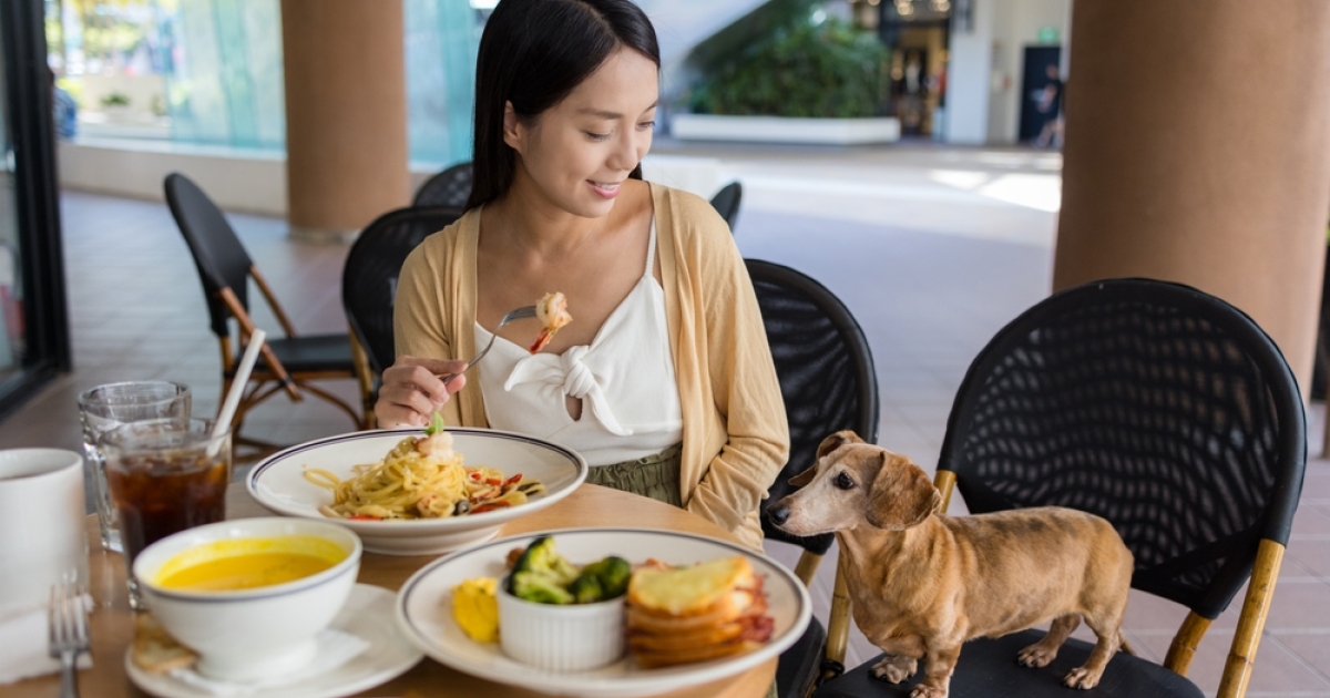Pet-friendly dining may lift core Hong Kong mall traffic | Retail Asia